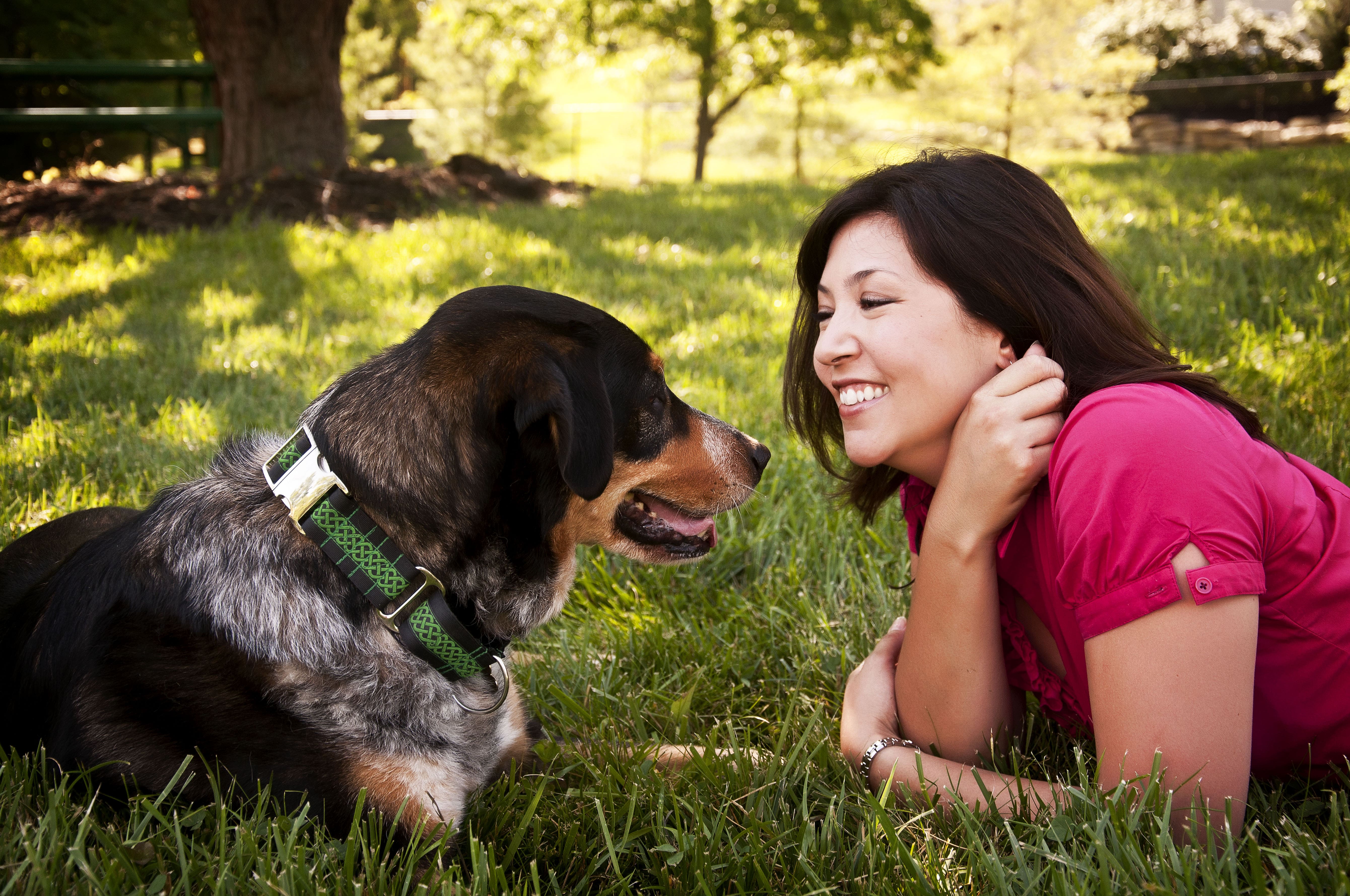 Sarah Hoth | St Louis MO Dog Training & Puppy Training | The Persuaded ...